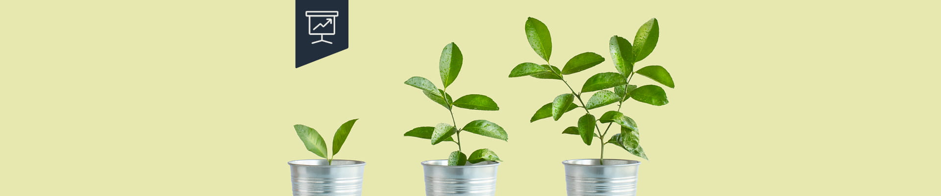 Wanneer ben je junior medior of senior werknemer | Intermediair