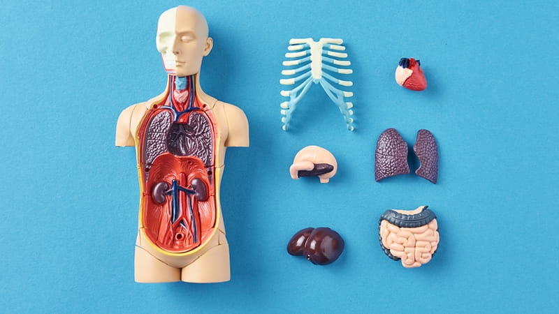 Carrièreswitch: van horeca naar het onderwijs | Intermediair